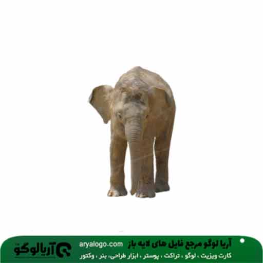 وکتور png فیل کد 18 | آریا لوگو مرجع فایل های لایه باز