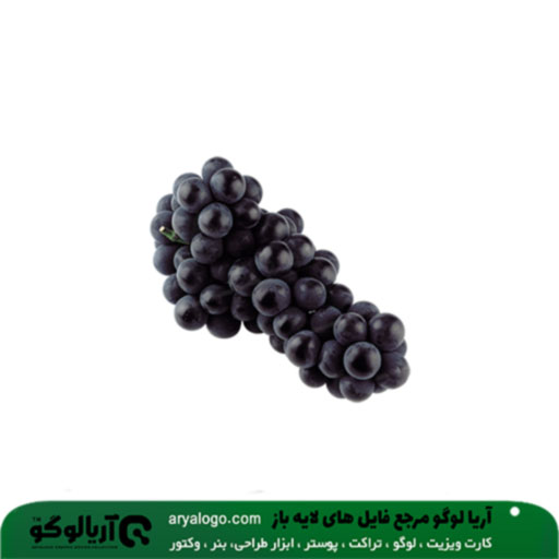 عکس png انگور کد 3 | آریا لوگو مرجع فایل های لایه باز